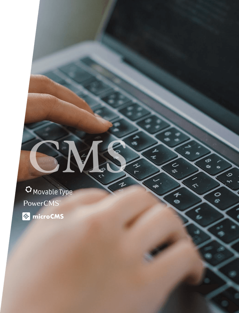 SINAP | CMS導入・運用支援